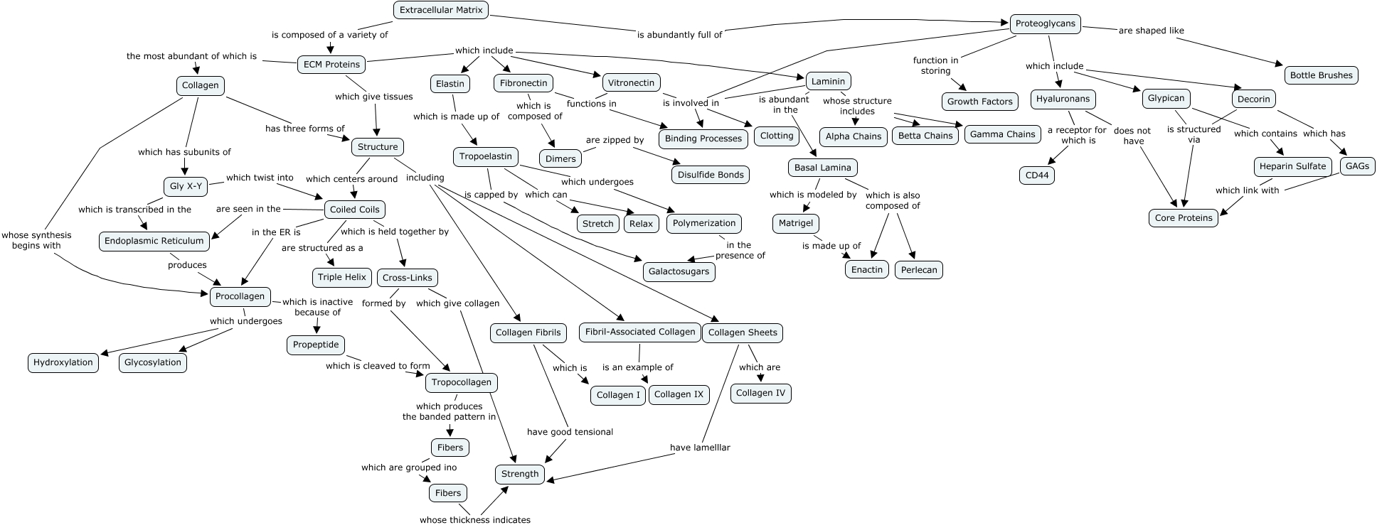 Protein Concept Map