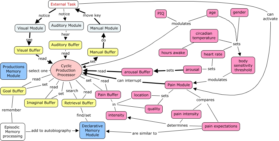 ACT-R-body1 - How does ACT-R theory work?