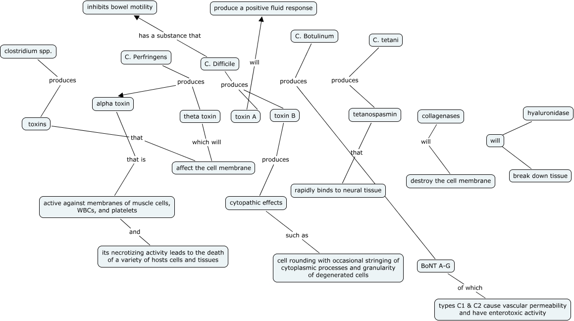 clostridium concept map - virulence factors of clostridium spp.