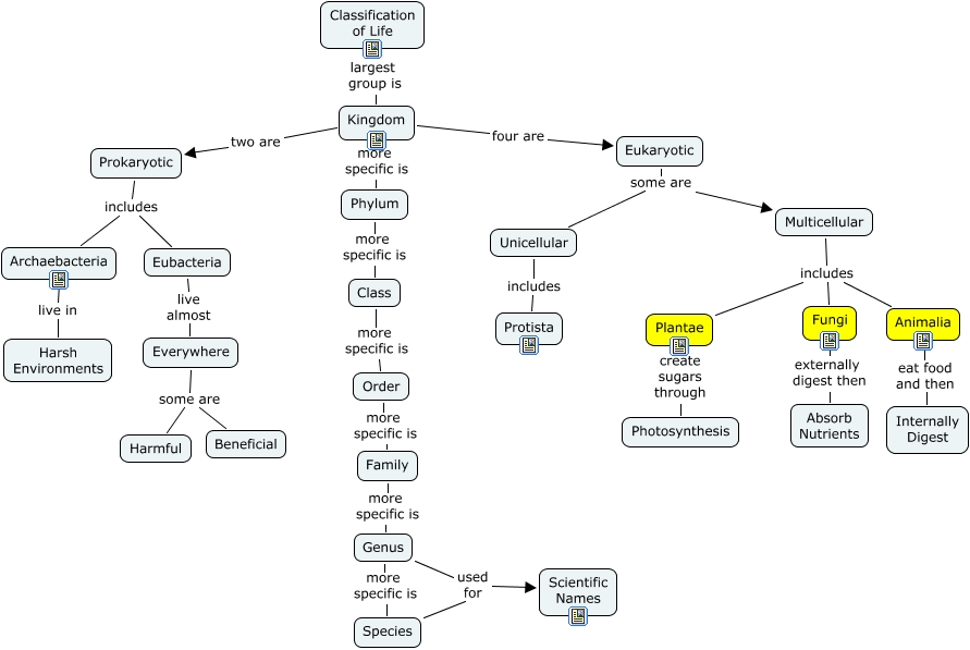 Classification of Life