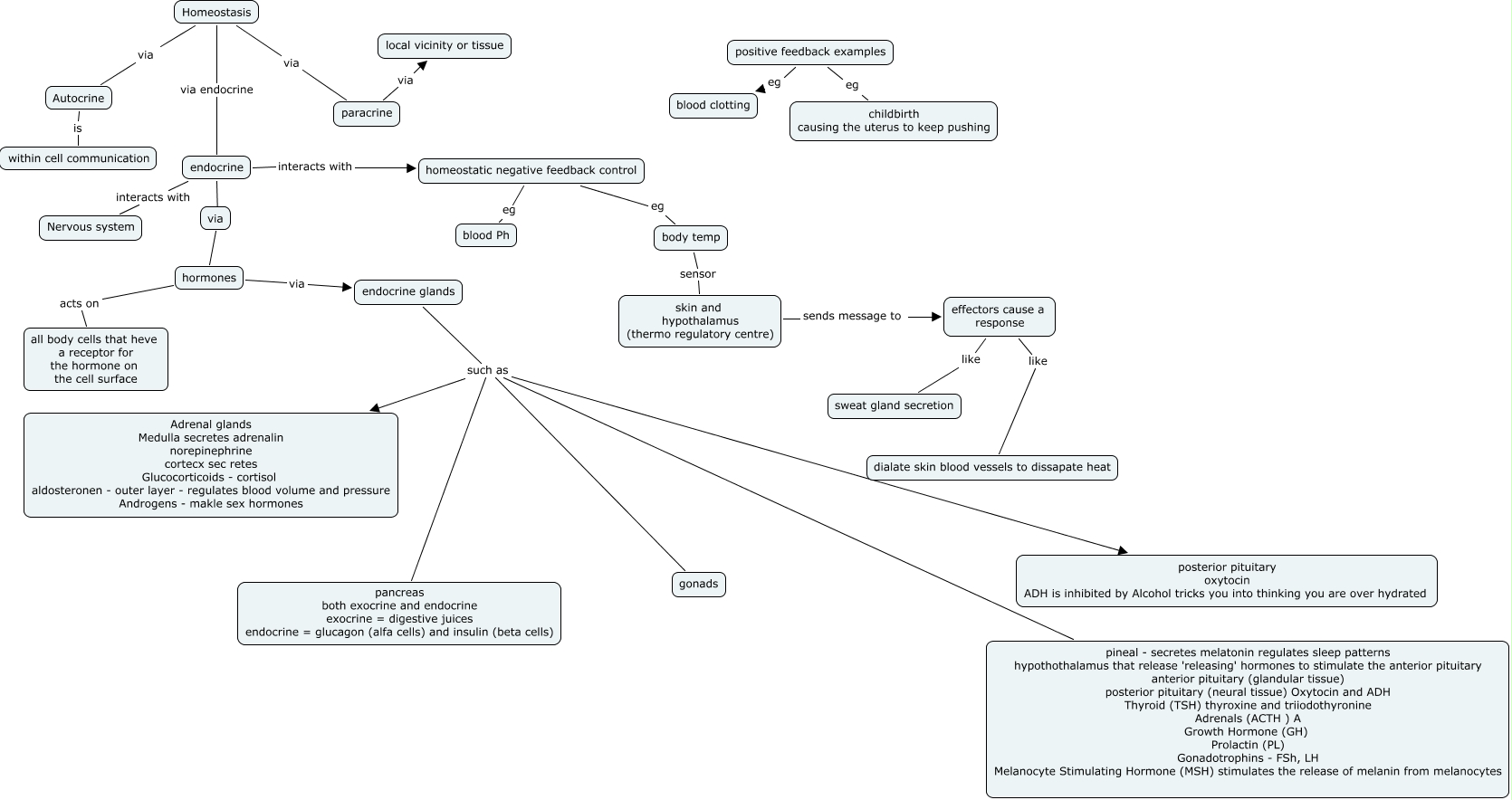 endocrine system