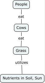 Food Web Cow Map
