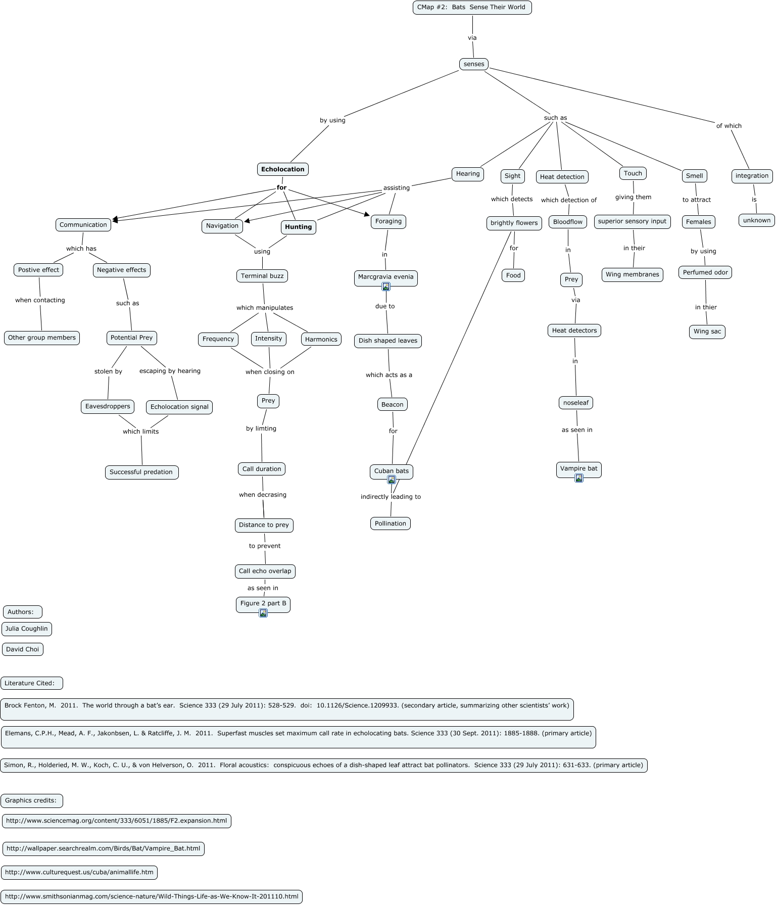Choi Coughlin Bat Sensory 1 - How do bats sense their world