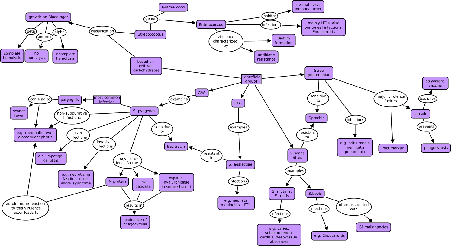 Streptococci Masters