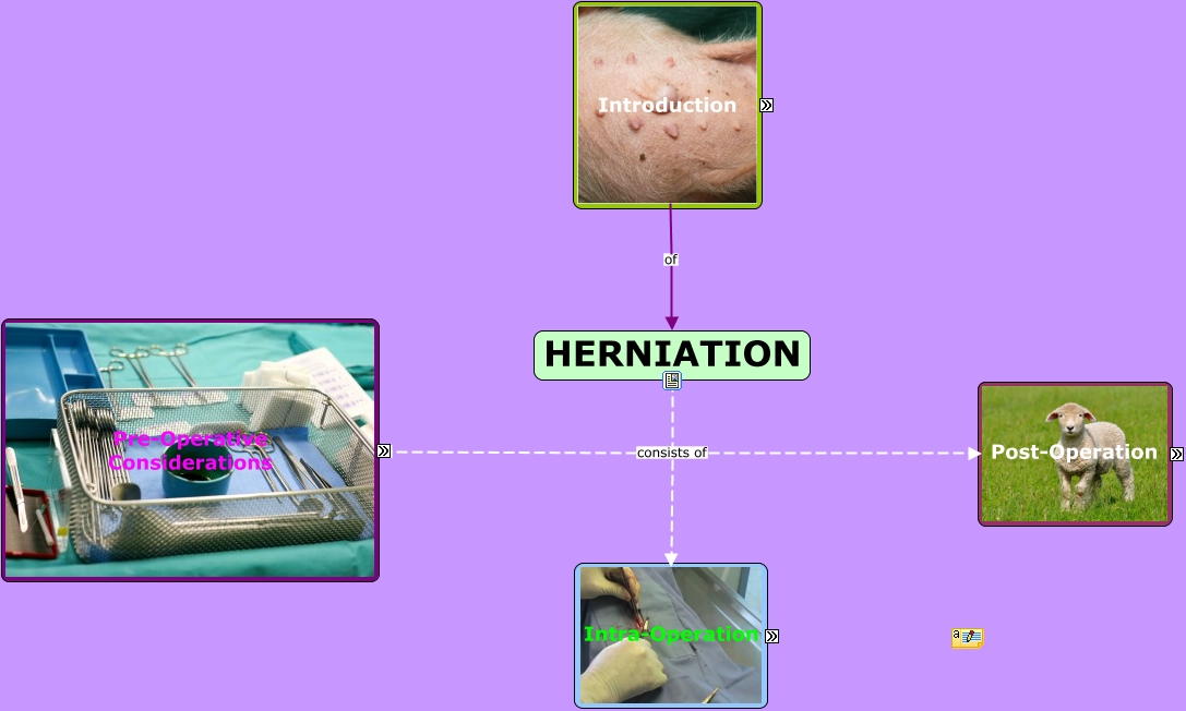 VET2017 LAS GROUP 7LAB 8
