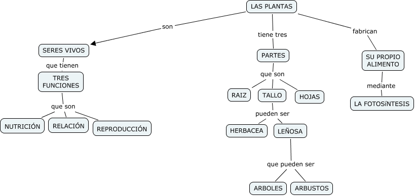 LAS PLANTAS-(ANTHONY)