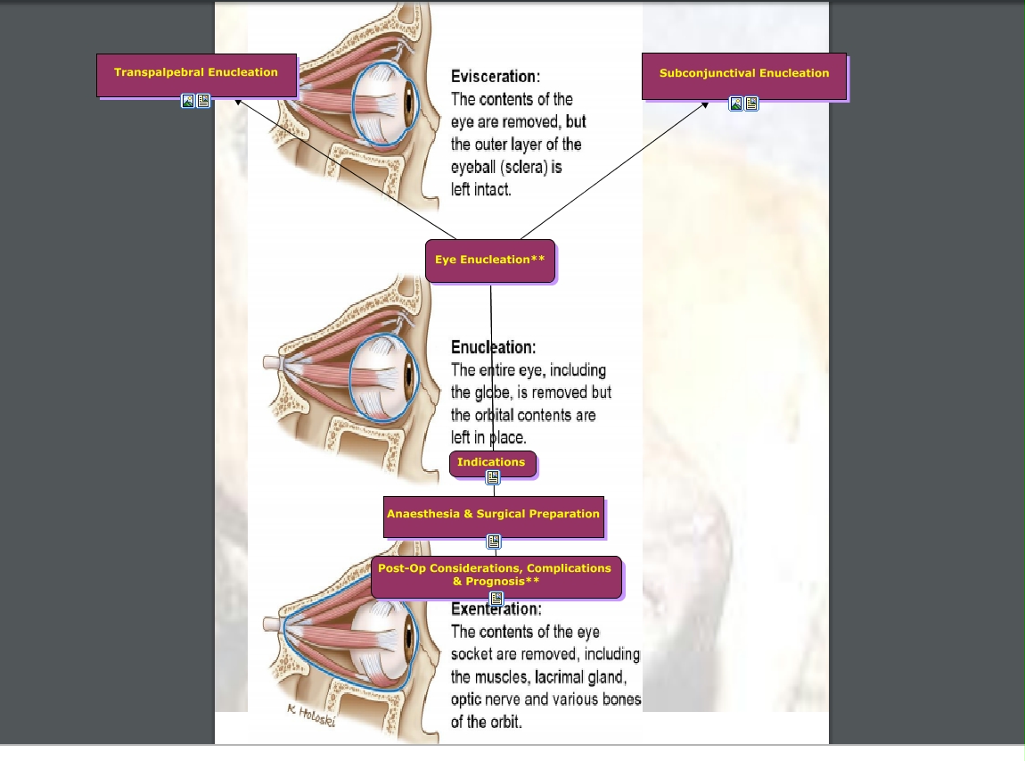 Eye Enucleation