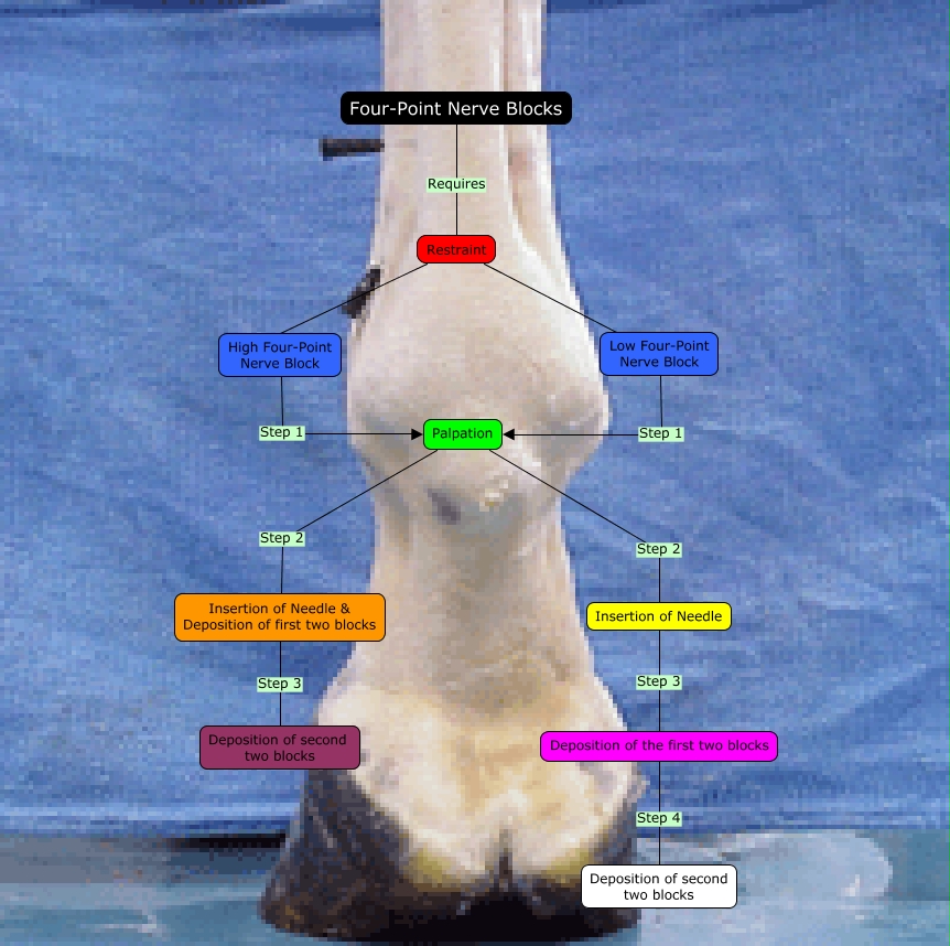 Four-Point Nerve Blocks