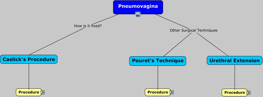 Caslick's Procedure