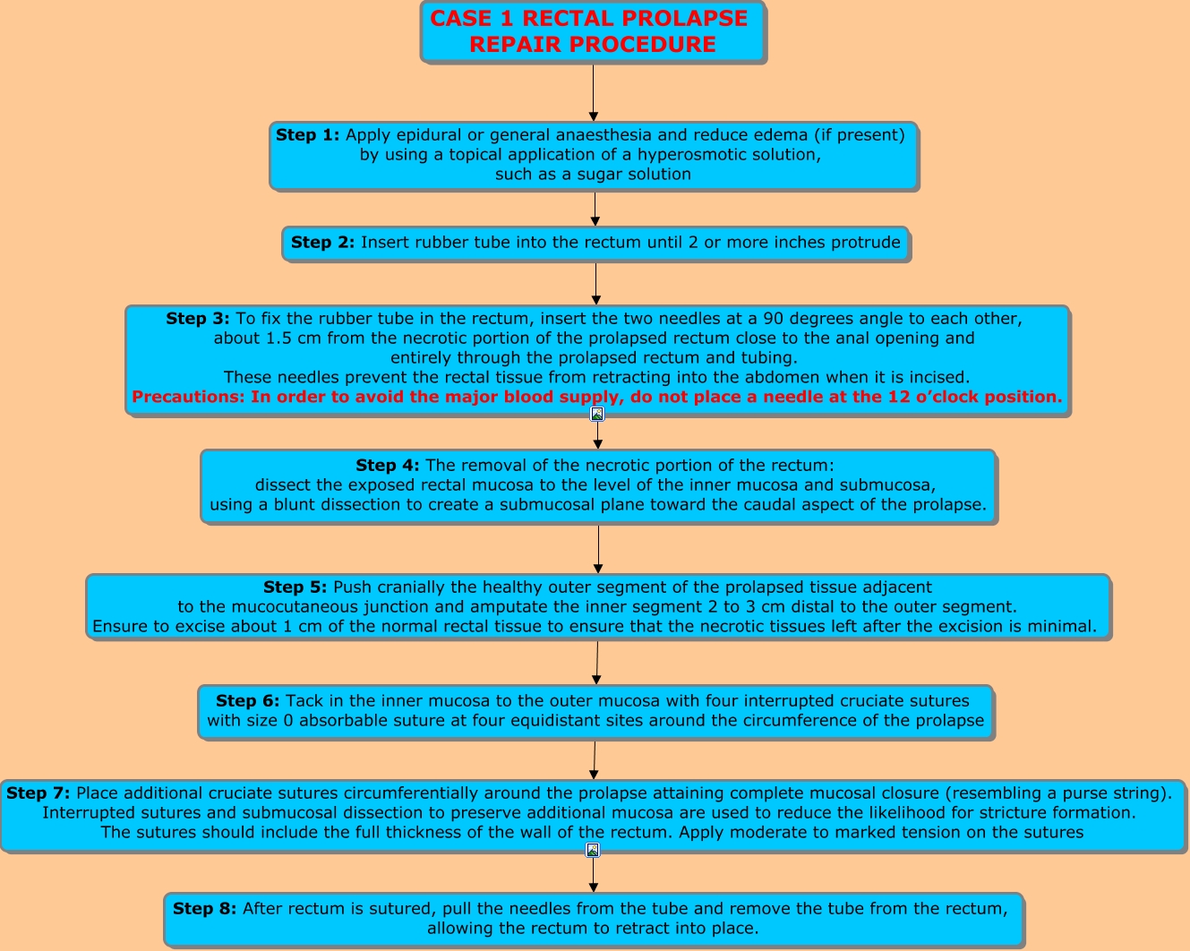 Rectal prolapse repair procedure