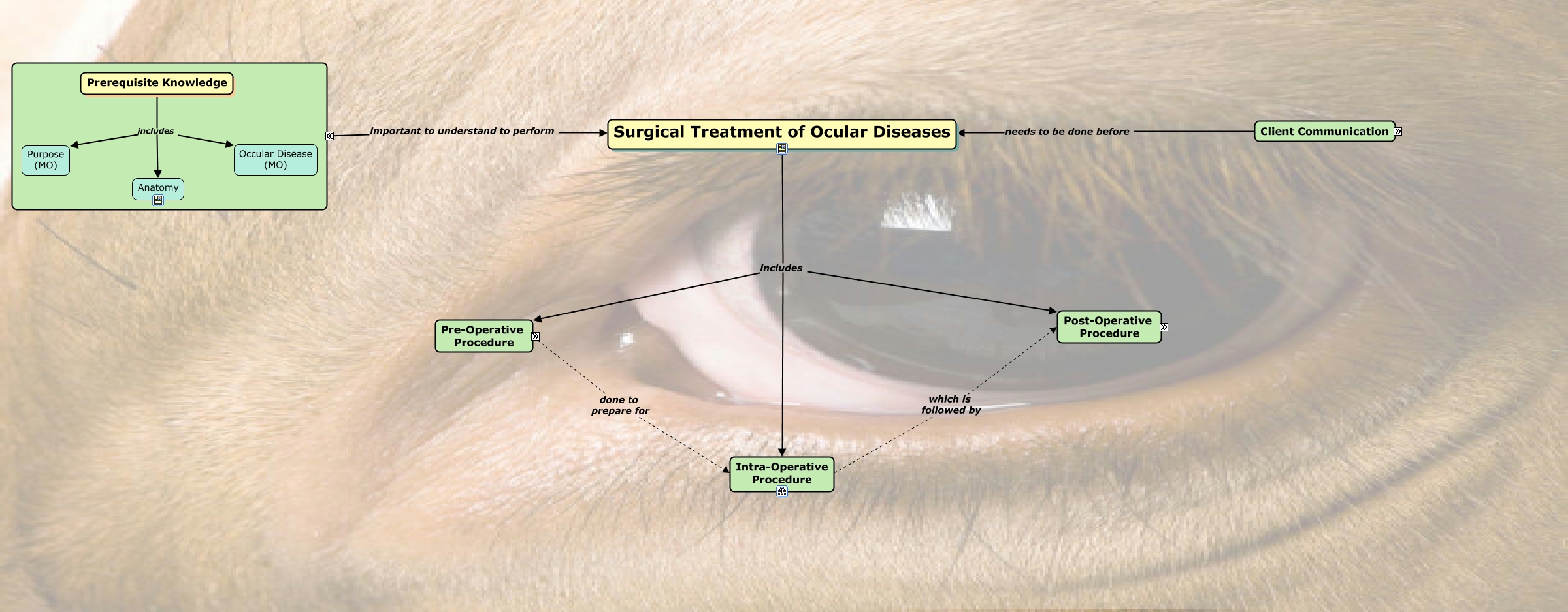 Surgical Treatment of Ocular Diseases 1