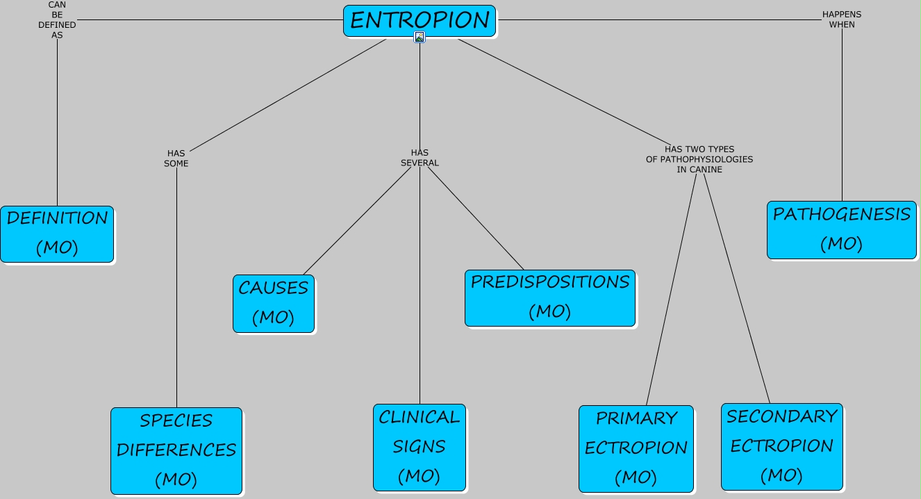 ENTROPION