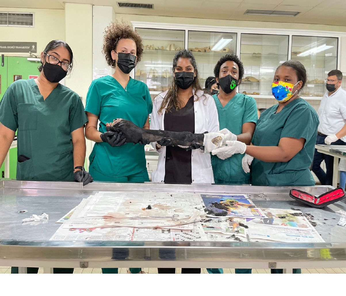 Lab 9 - Equine Orthopaedic Surgical Procedures