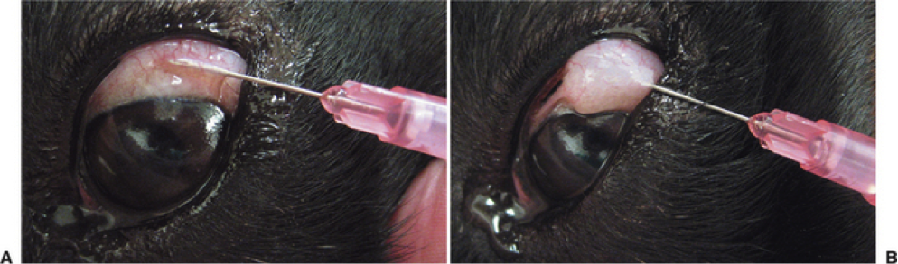 IHMC Public Cmaps (3)